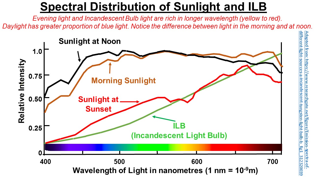 ektalks: Artificial Light at Night is a Rapidly Growing Problem with ...