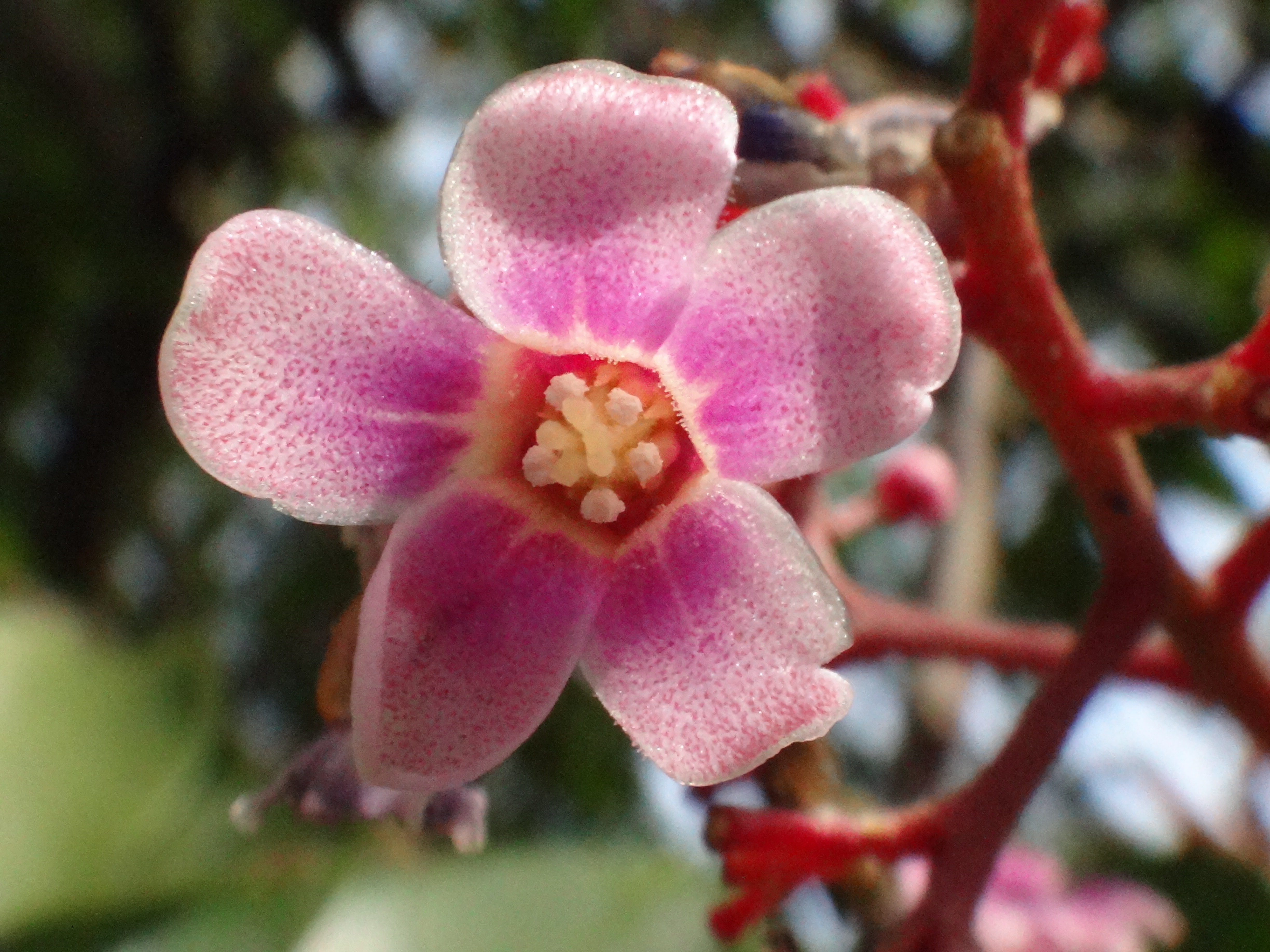 eric valenne's blog (trips and photos)