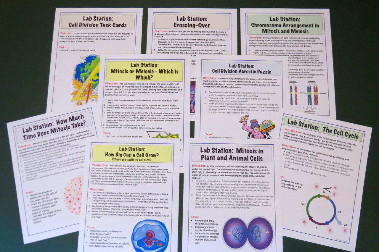 Amy Brown Science: Lab Stations: How to Make Them Work for You!