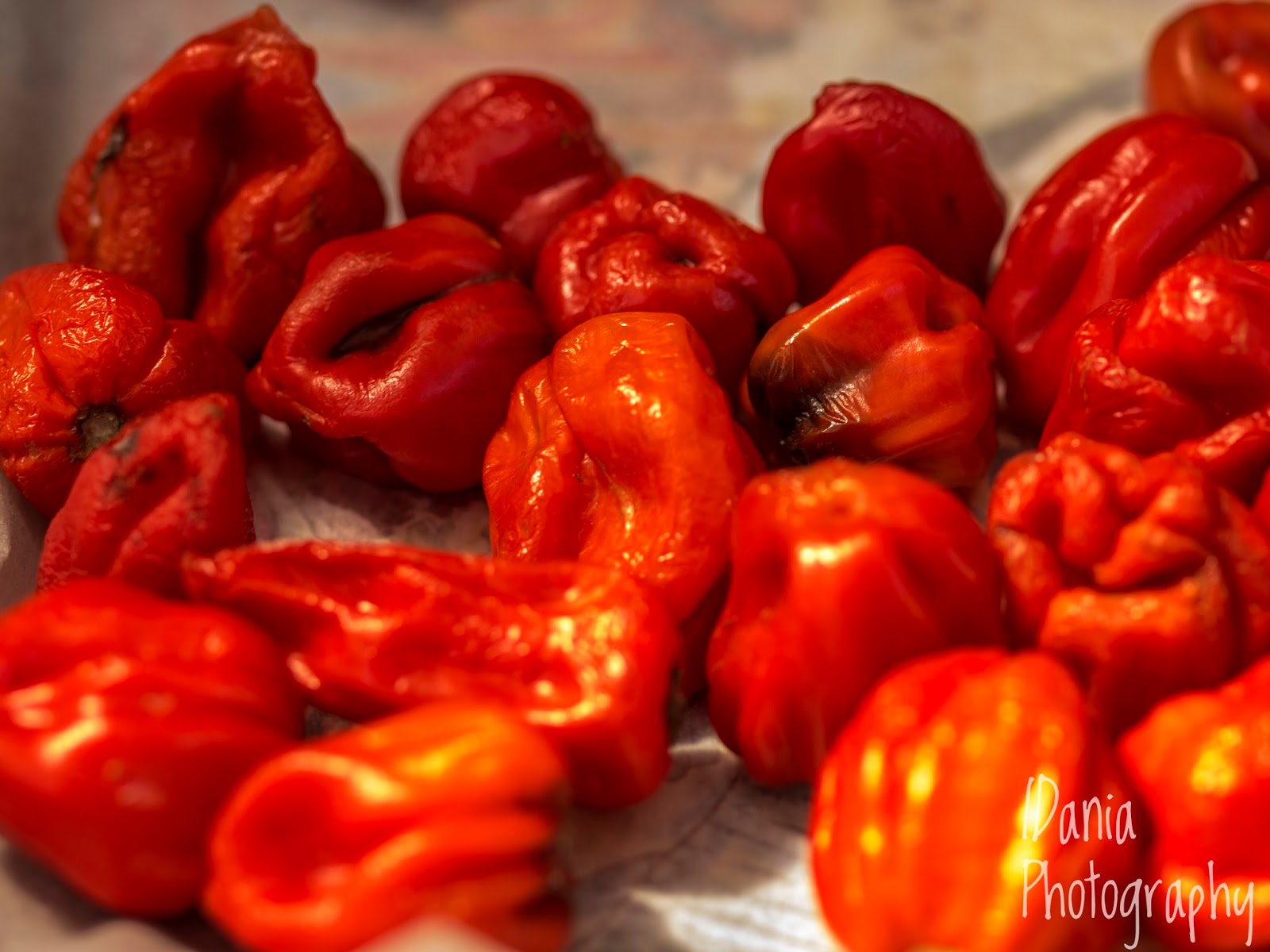 El AROMA DE IDANIA: AJÍ CACHUCHA...(ENCURTIDO)... EL SABOR DE MI TIERRA