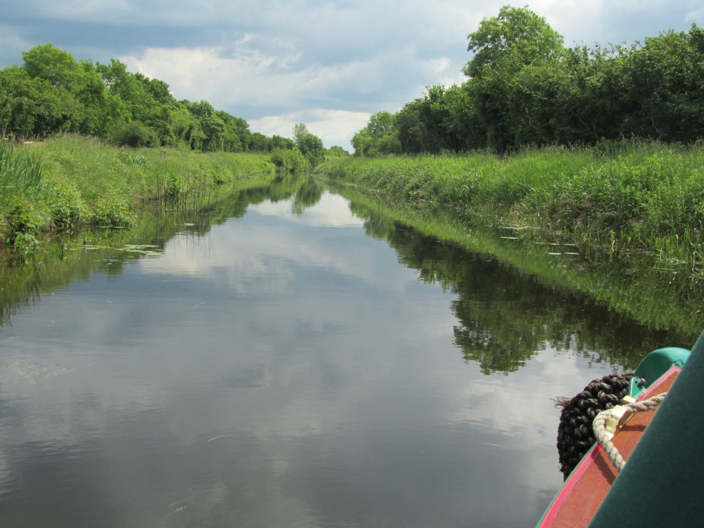 NB The Puzzler: 11th - 12th June 2012. The Barrow Line to Fisherstown ...