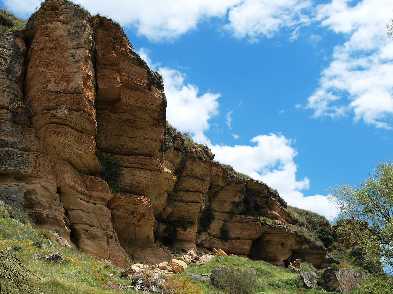 Caminando por Sierras y Calles de Andalucía: Cañón del río Cacín: II ...