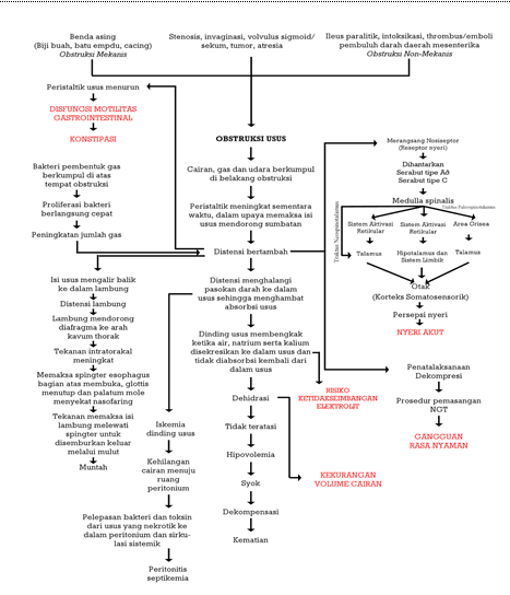Askep Ileus Obstruktif Nanda Nic Noc Terbaru - karya mahasiswa nurse
