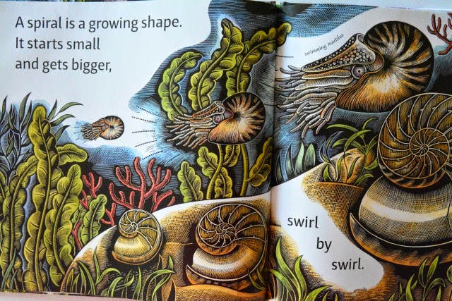 Kari's Reading Corner: Swirl by Swirl: Spirals in Nature by Joyce ...