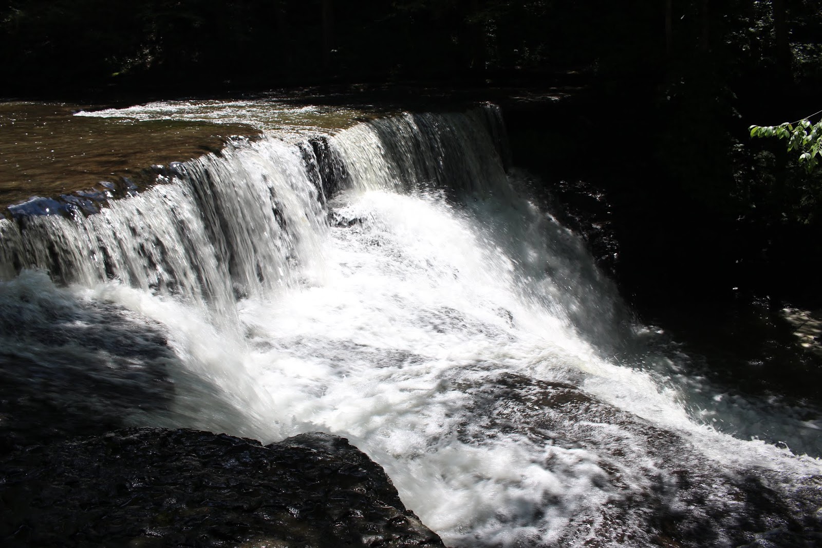 Cumberland Gal: Window Cliffs State Natural Area Hike