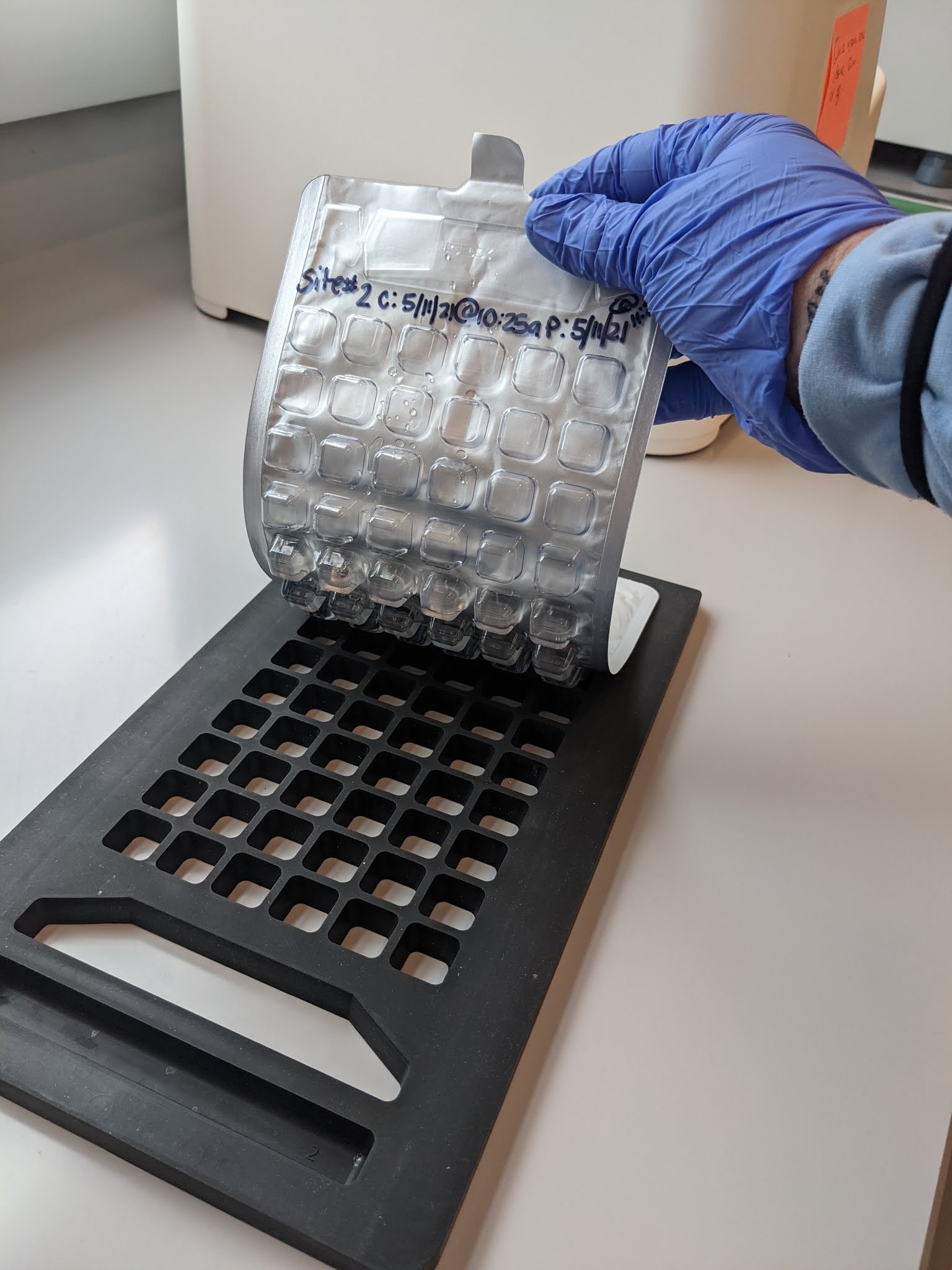 Testing Microbiology Samples