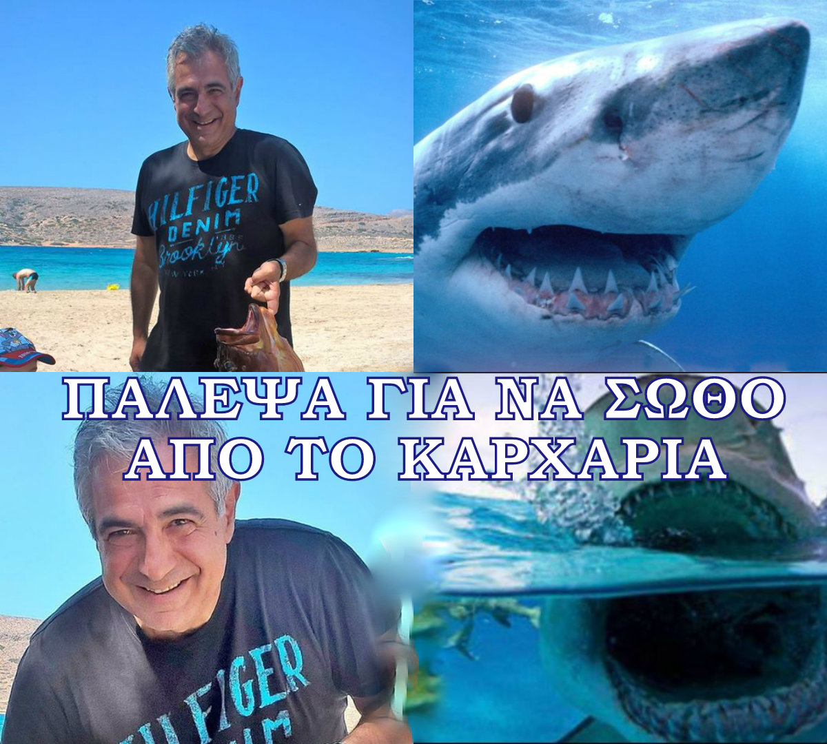 COM LIVE WEB TV: ΕΚΤΑΚΤΟ --ΕΠΙΘΕΣΗ ΚΑΡΧΑΡΙΑ ΣΤΗ ΚΡΗΤΗ ΣΤΟ ΜΗΧΑΛΙ ...