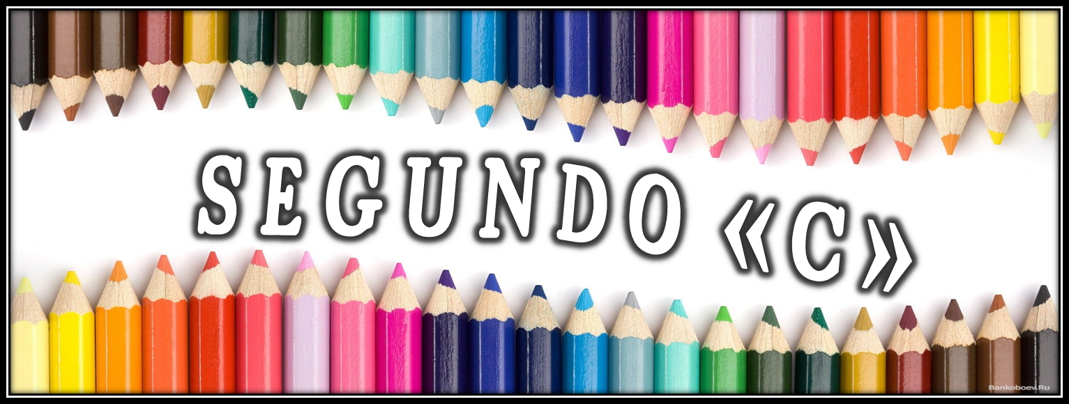 SEGUNDO C