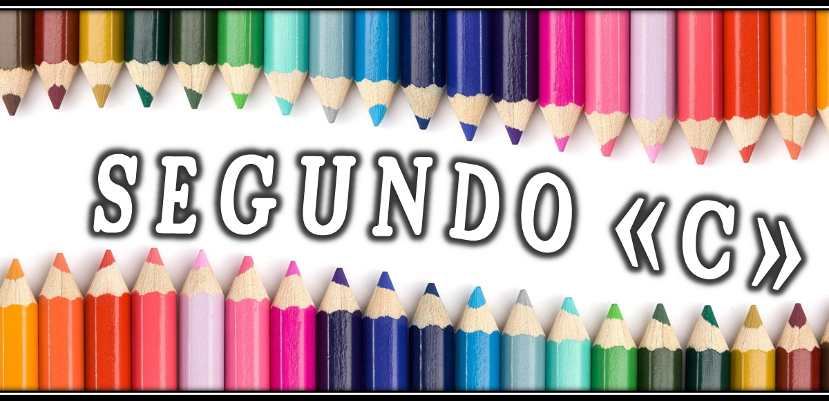 SEGUNDO C
