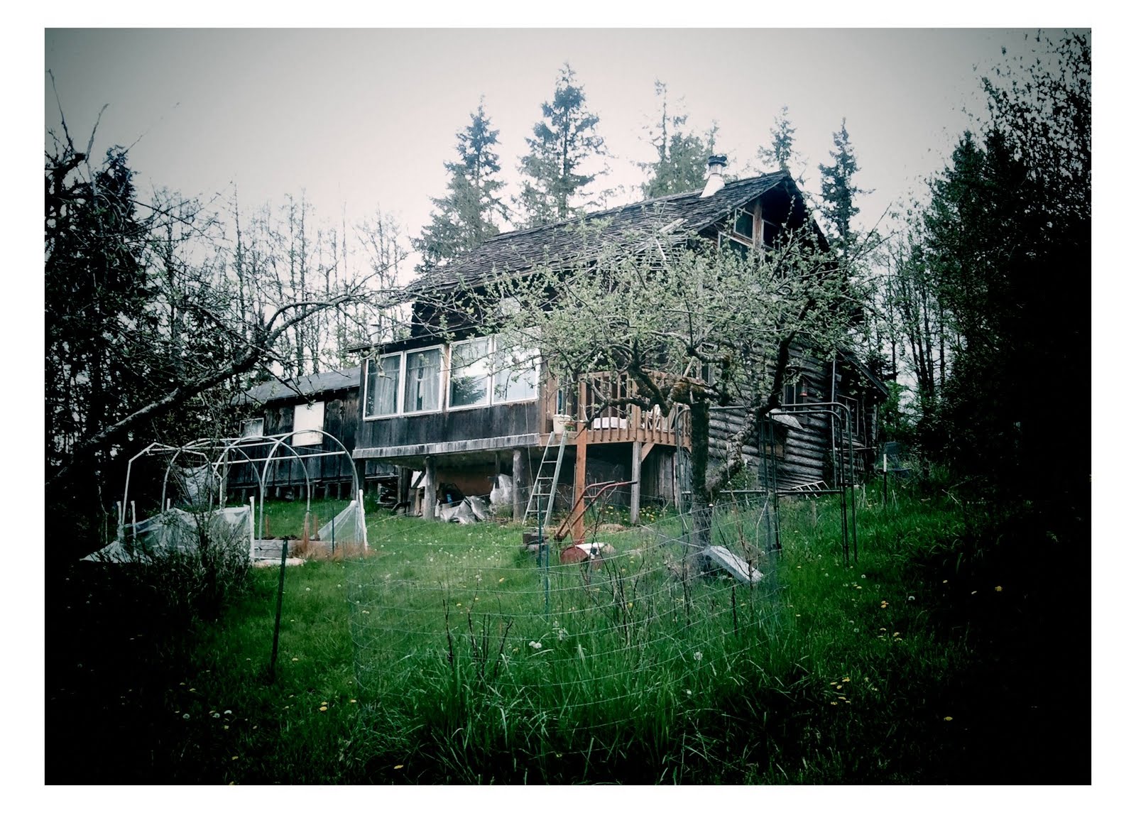 BOHEMIAN adventures: The Crackerbox Palace