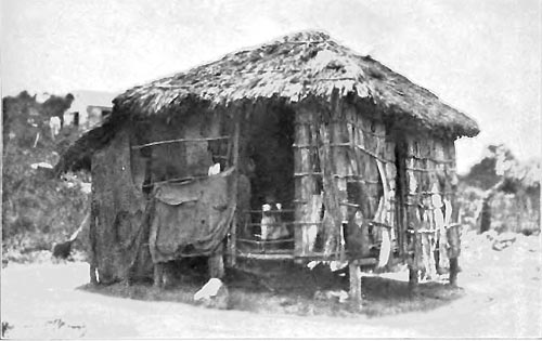 En frasco pequeño.: En un bohío. Juan Bosch.