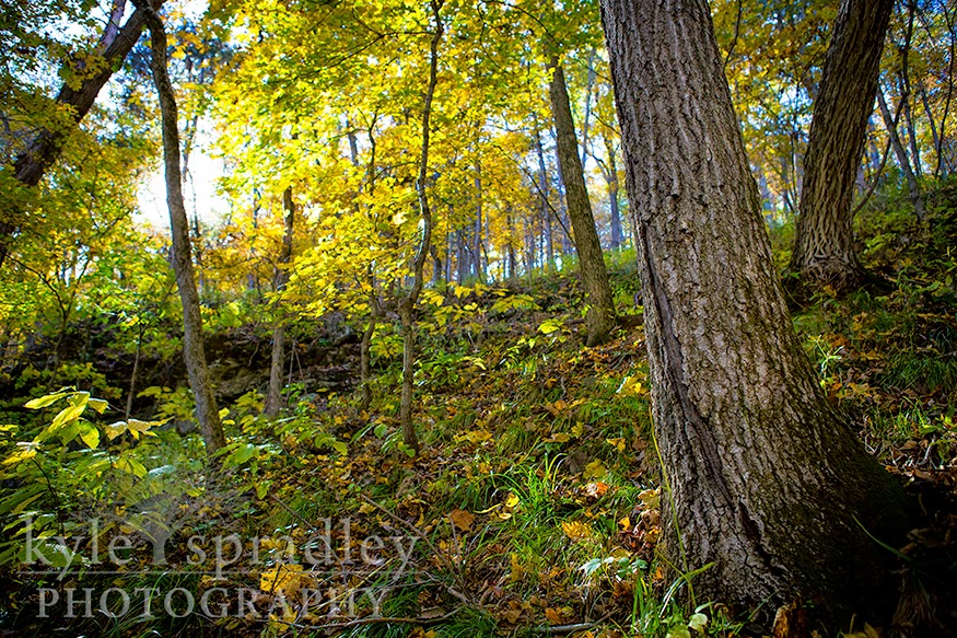 Kyle Spradley Photography Blog Kyle Spradley Photography Blog