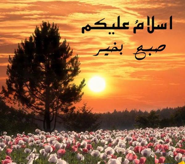 Latest images Free Download: Subha Bakhair Pictures In Urdu