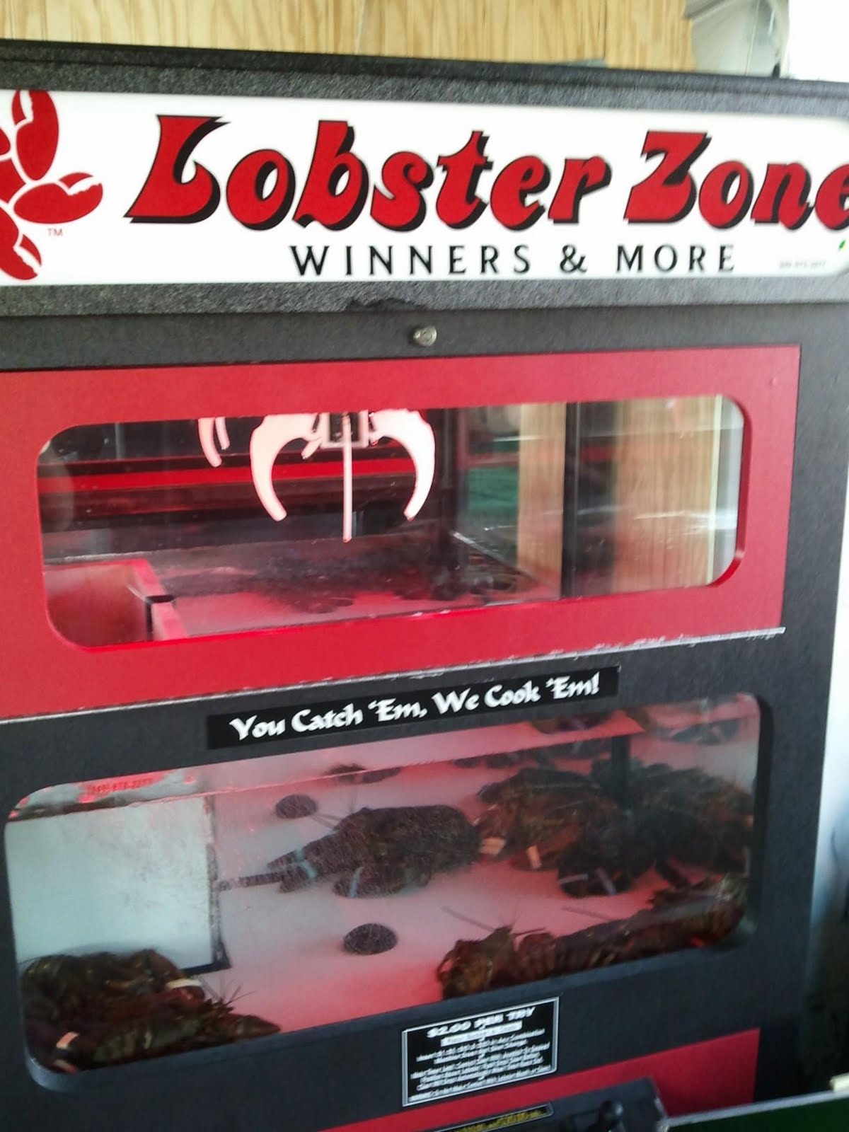 Life Sometimes Can Be...: Ironic