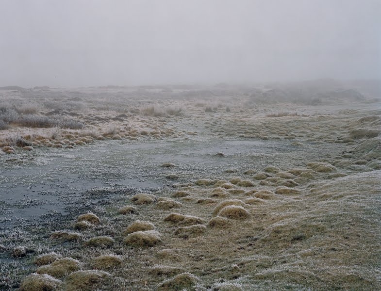 Secret Lexicon: Landscape: Robin Friend