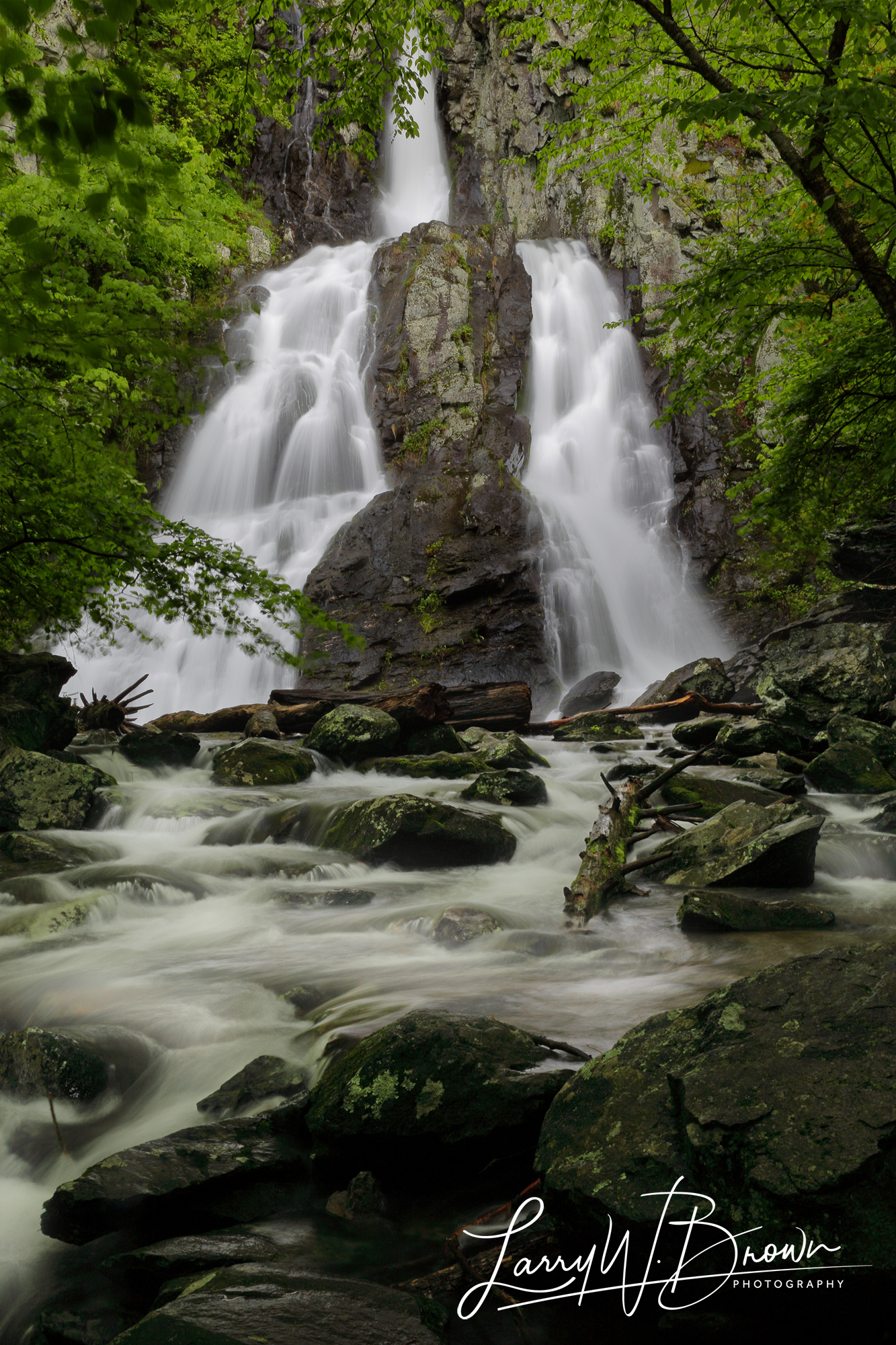 Shenandoah National Park Waterfalls Guide: South River Falls