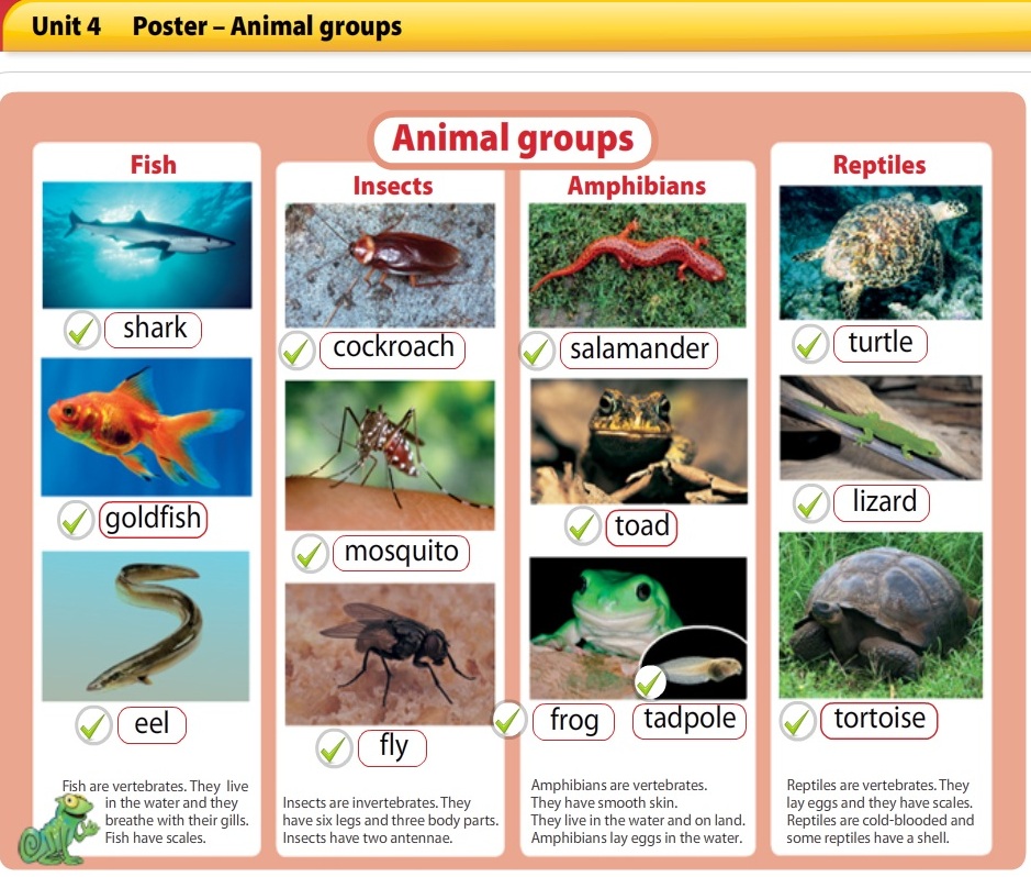 Artero children's blog: December 2011