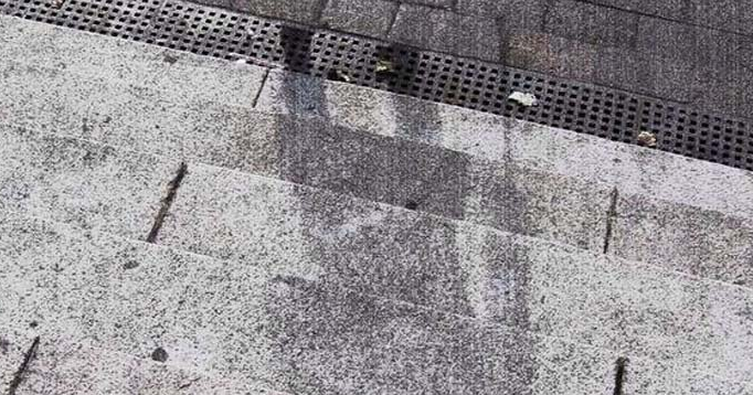 Nag on the Lake: Hiroshima Shadows