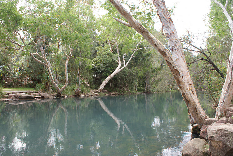 Nele & Andrew Around Oz: Red Rock Campsite, Byfield State Forest, QLDScnery