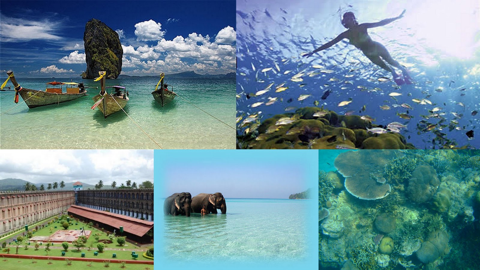 Nature Knights: Nature Knights: Eco-Tours - Andaman Islands