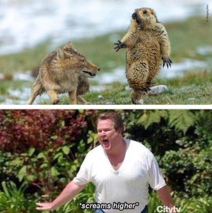 Daily Funny Collection 563 (31 Pics)