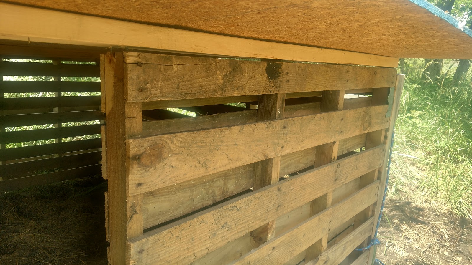 Pallets To Pastured Pig Pen pallets-to-pastured-pig-pen