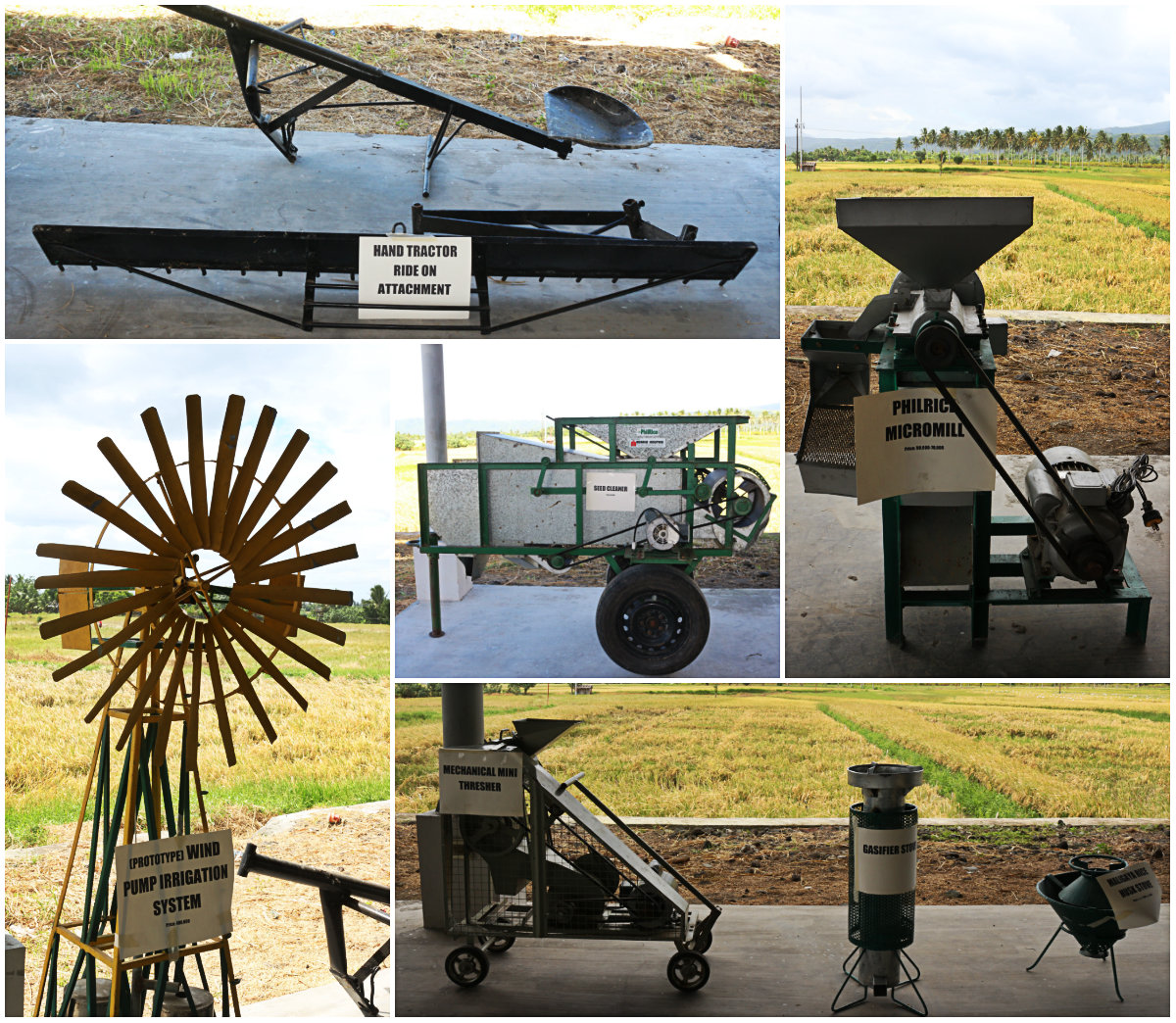 Albay 3rd District: PhilRice introduces climate change-ready ...