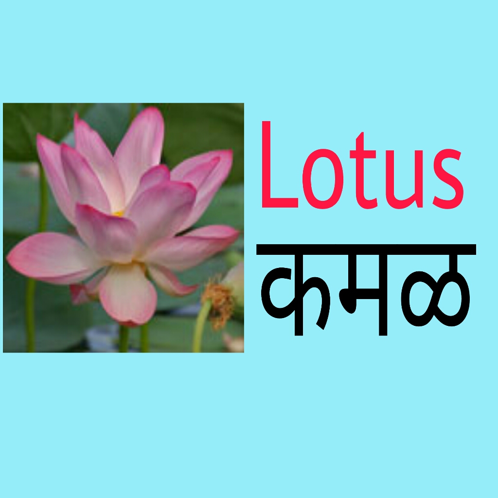 Santosh Dhangar Names Of Flowers santosh-dhangar-names-of-flowers
