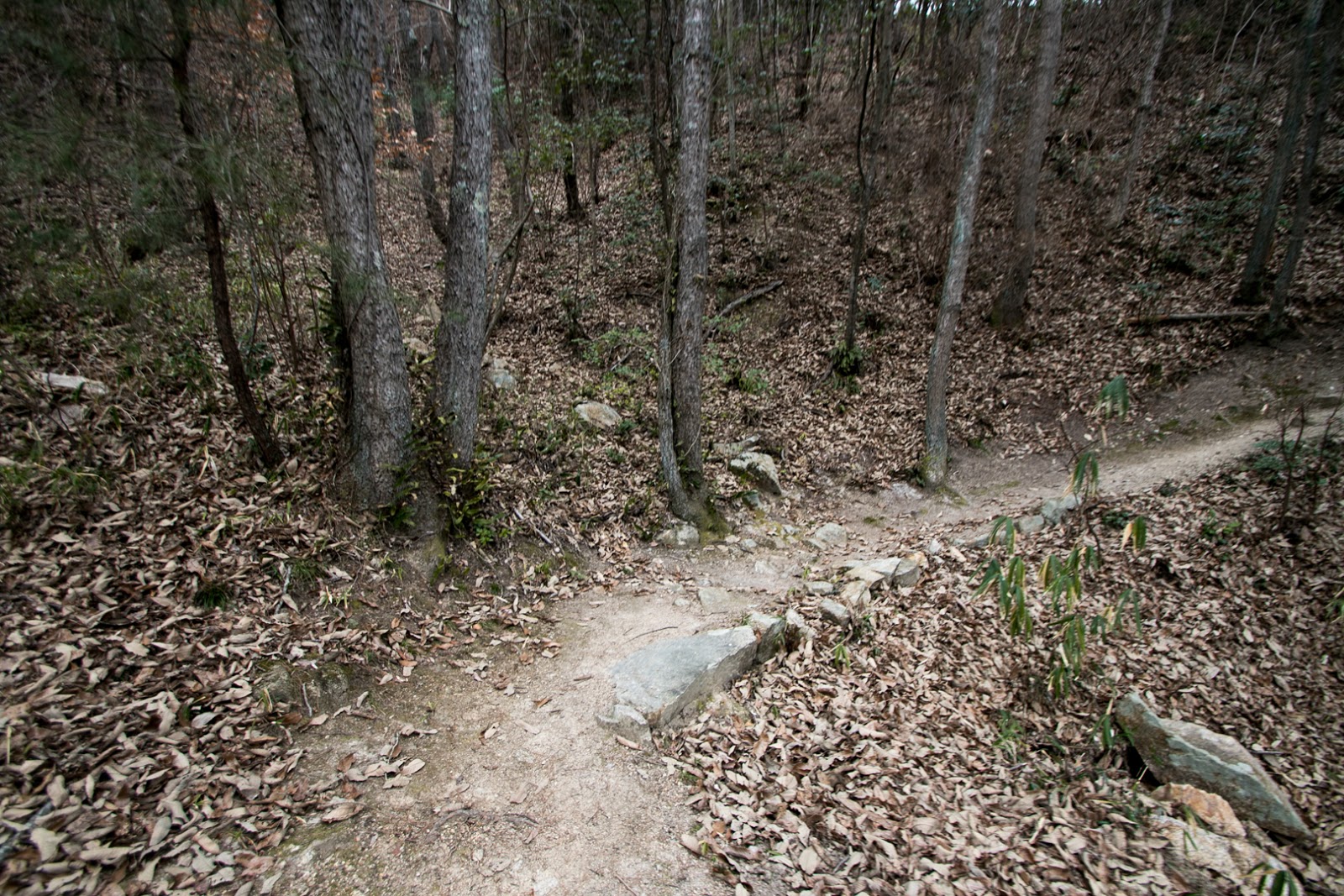 Niitakayama Castle -Intellectual pillar of Mouri clan (2)- | Japan ...