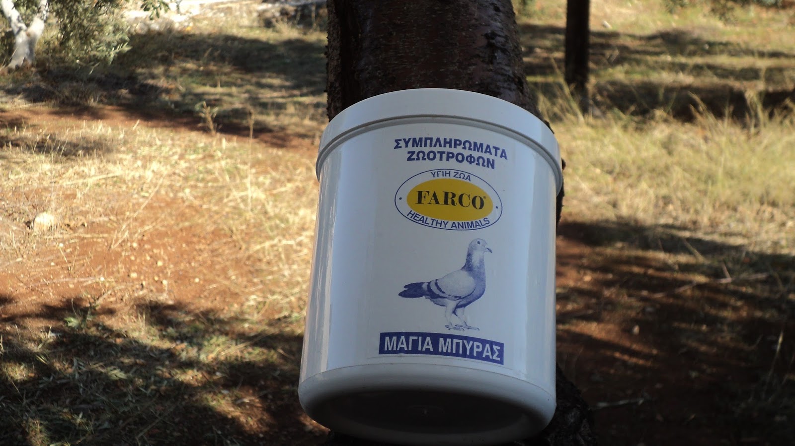 ΤΑ ΠΕΡΙΣΤΕΡΙΑ ΜΟΥ