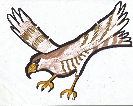 El color de los andes: El Gavilán.