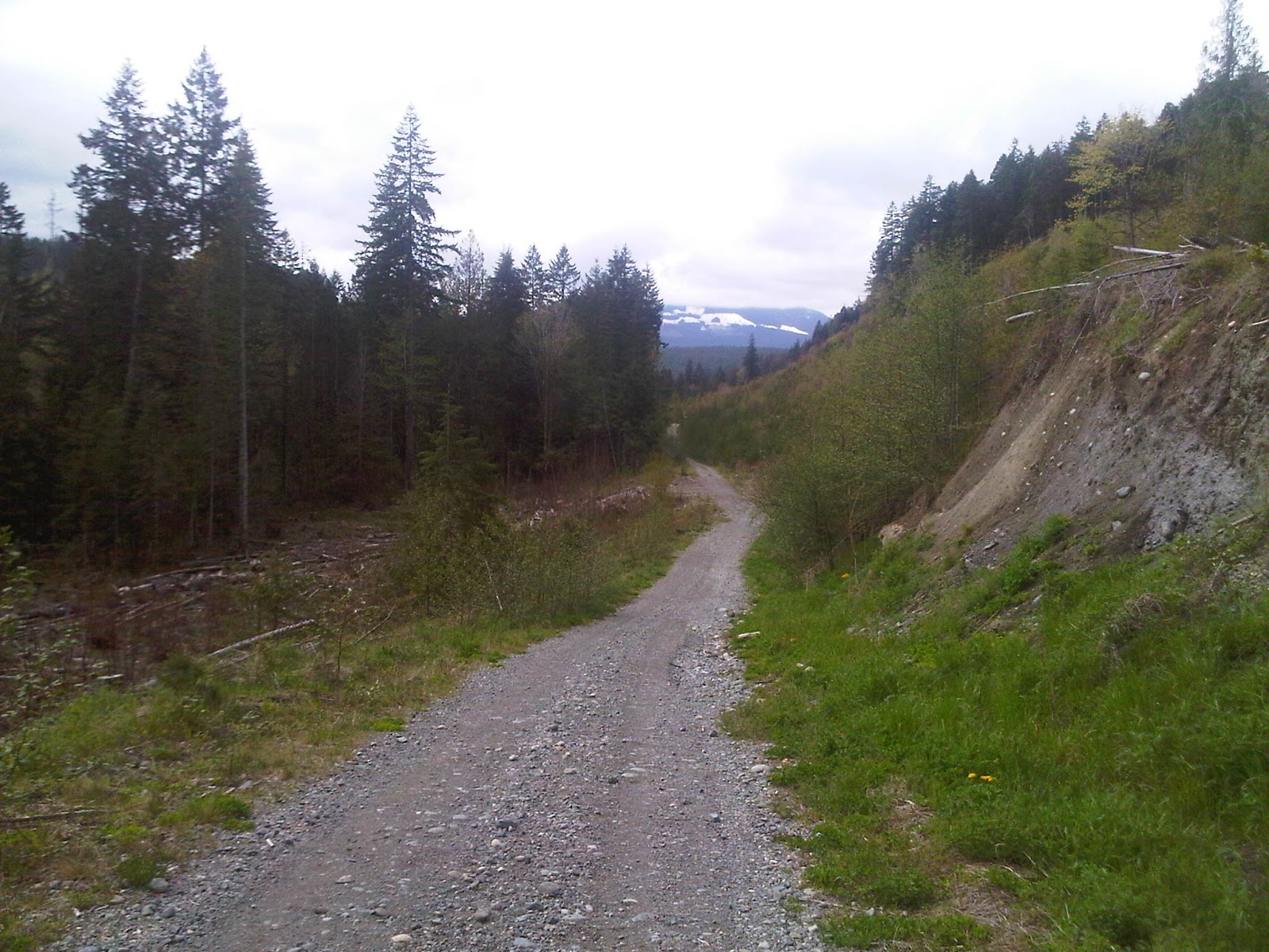 West Coast Runner: Haslam Creek and Trans Canada Trail