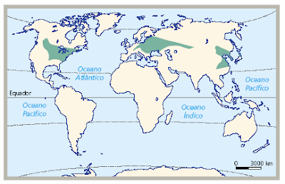 GEOGRAFIA 8: O clima temperado continental