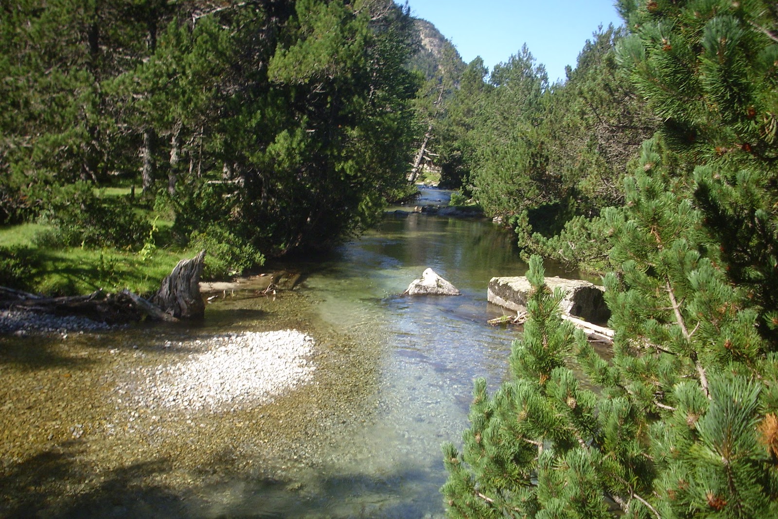 goterris: DEL PLANELL D'AIGÜESTORTES ALS ESTANYS DE DELLUI