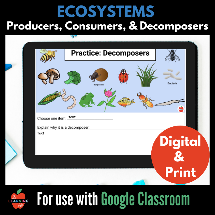 Ecosystem BUNDLE for Distance Learning: Google Classroom and Printable ...