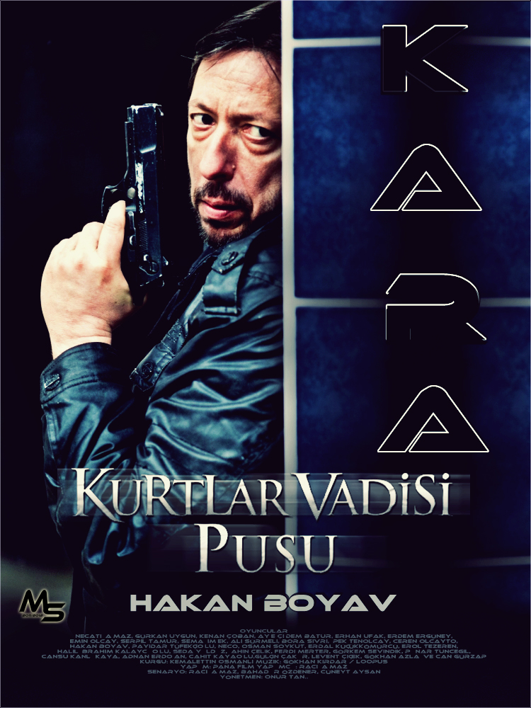 Turske Serije: Kara'