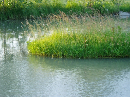 treatment wetlands: THE FLOATING TREATMENT WETLANDS