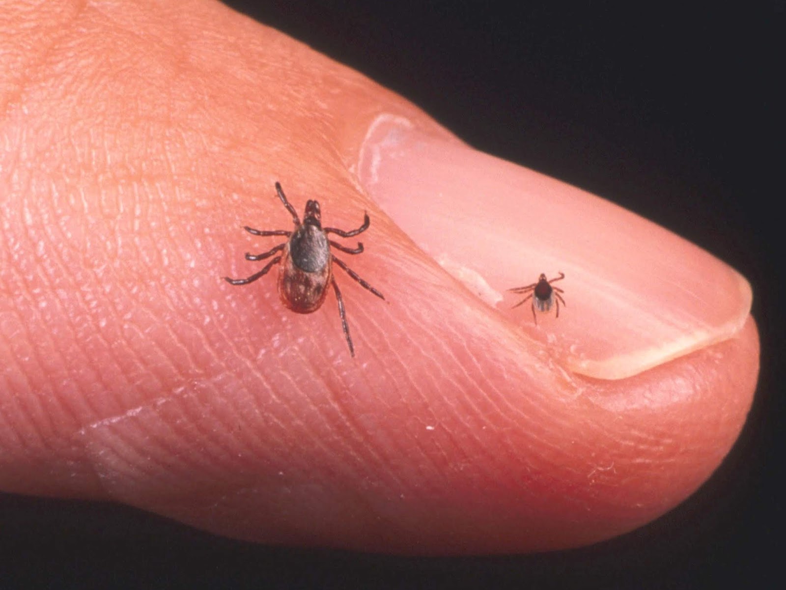 PA Environment Digest Blog: Depts. Of Health/Education Student Art ...