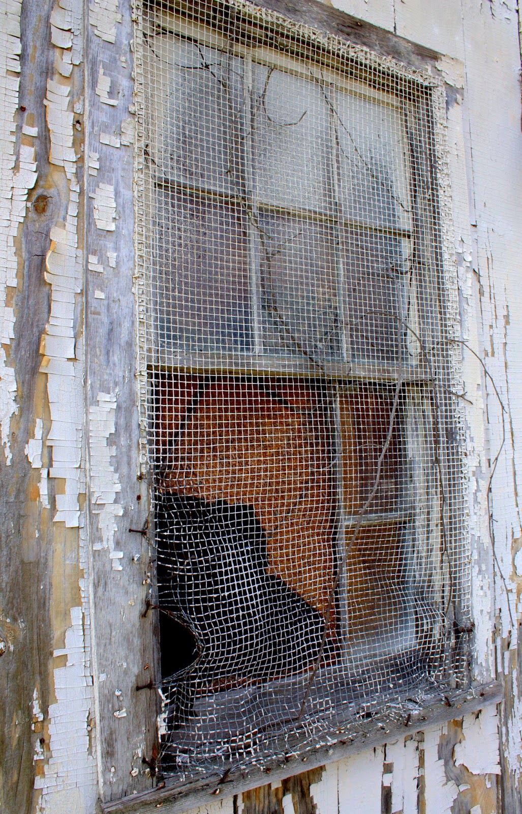 FOLKWAYS NOTEBOOK: OLD VERNACULAR WINDOWS