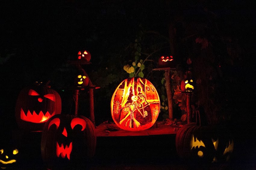 OTIS (Odd Things I've Seen): Random Halloween Season Photos Without a ...