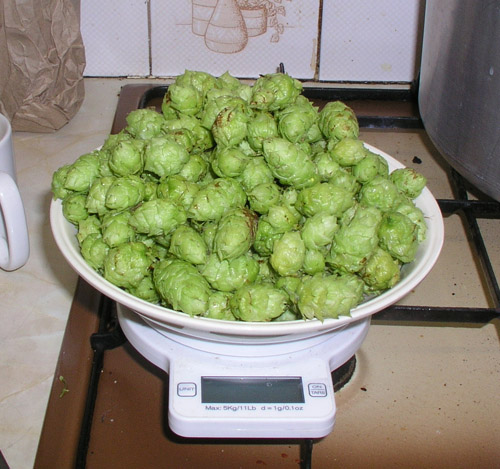 Grow Your Own Hops: Hop Uses