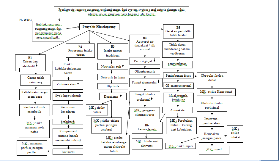 Evid van diaz: Asuhan Keperawatan pada pasien dengan Hirschsprung ...