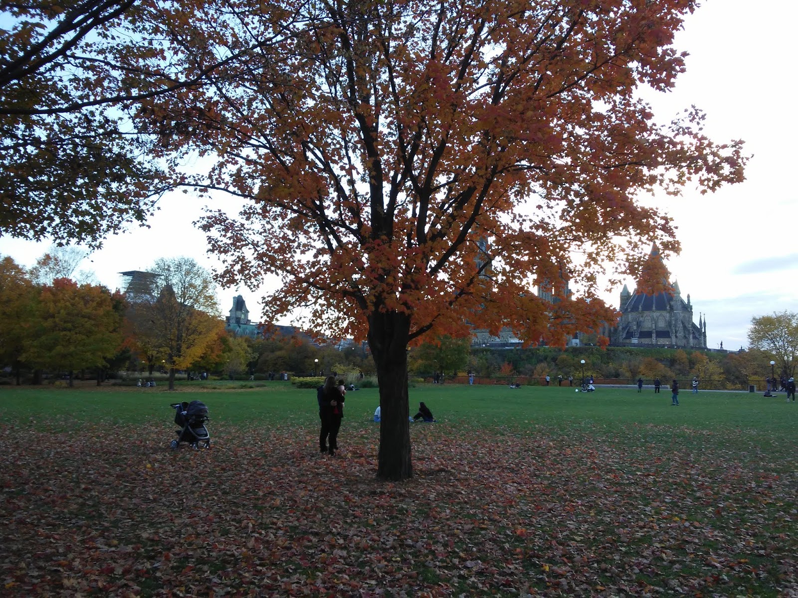 Ottawa Daily Photo: Finale For The Colours