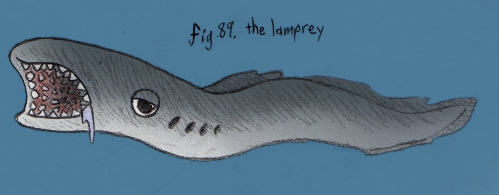 Jun Makes Stuff: #107 The Lamprey