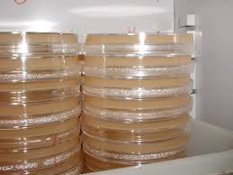 Why Petri dishes Inverted During Incubation? : Pharmaceutical Guidelines