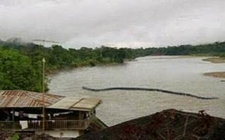 The giant snake in the Borneo island | The True Adventures