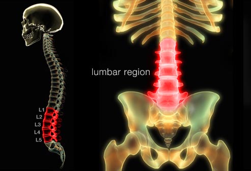 Deep Information About Lower Back Pain: Its Symptoms, Causes, Treatment ...