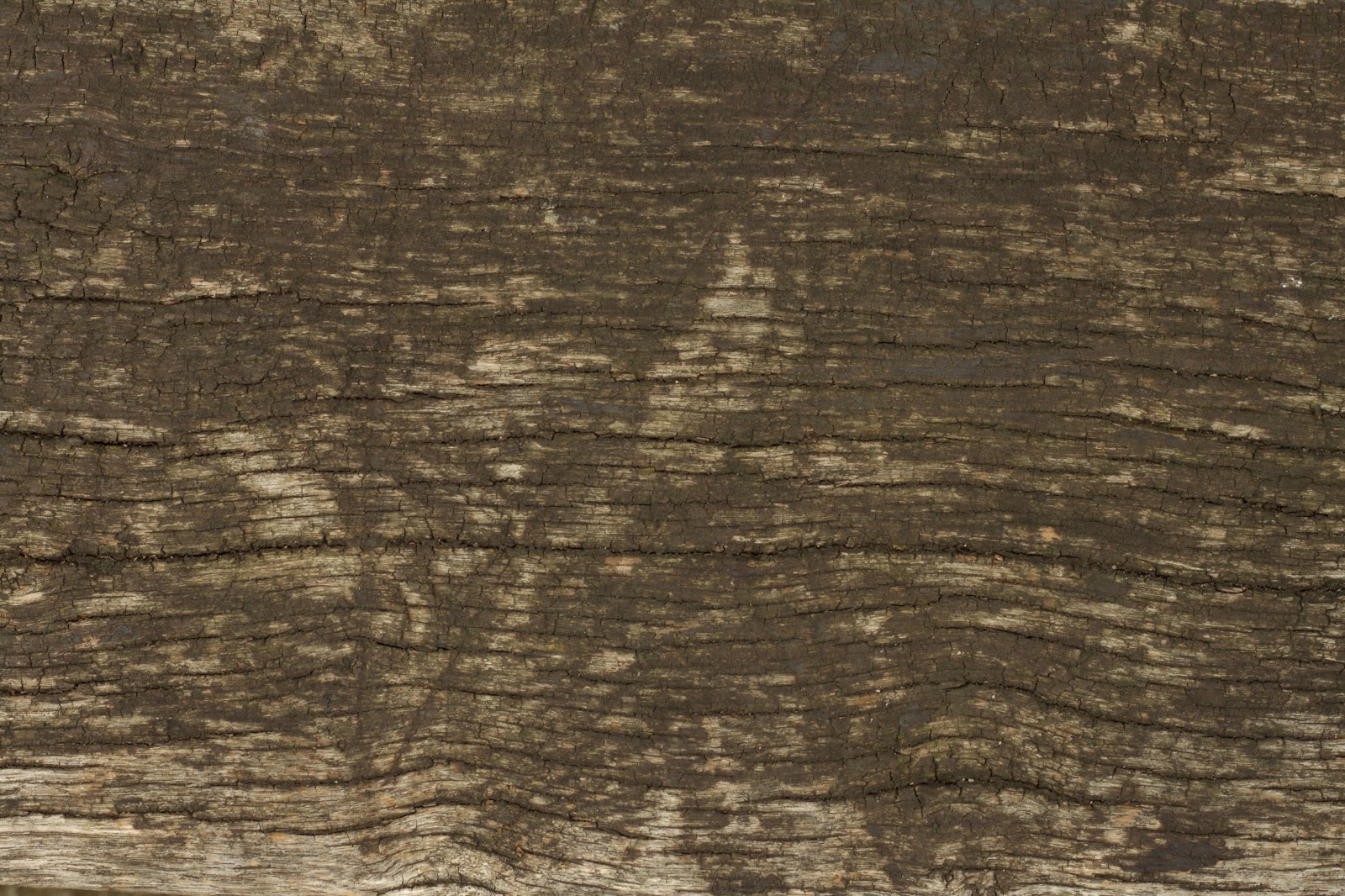 Mr-Textures: (WOOD) dry cracked bench plank tree bark texture ver 14 Mr-Textures: (WOOD) dry cracked bench plank tree bark texture ver 14