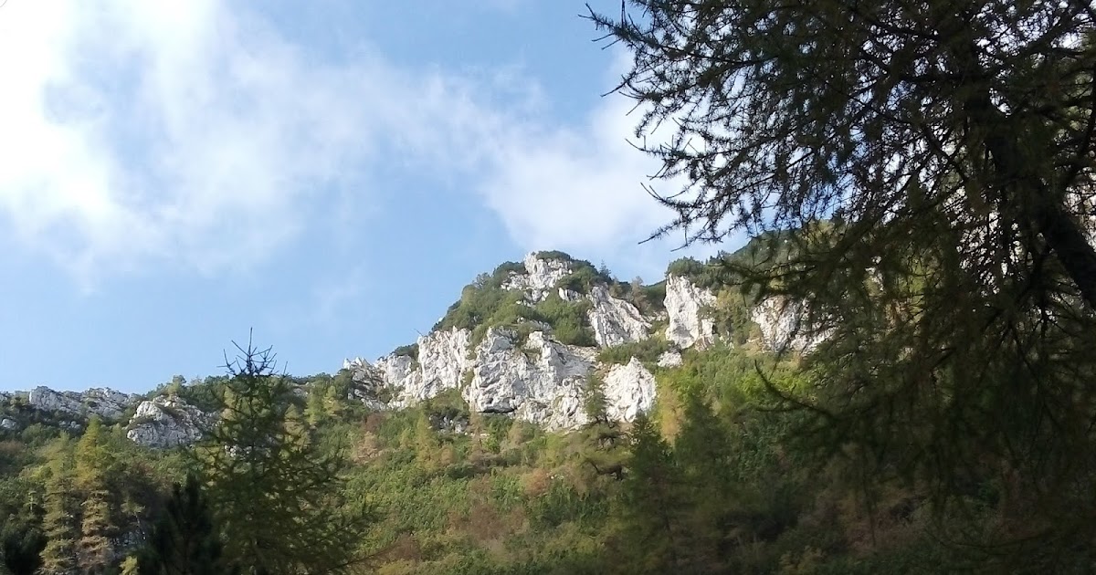 #nistrmo: Siva pot vodi me.