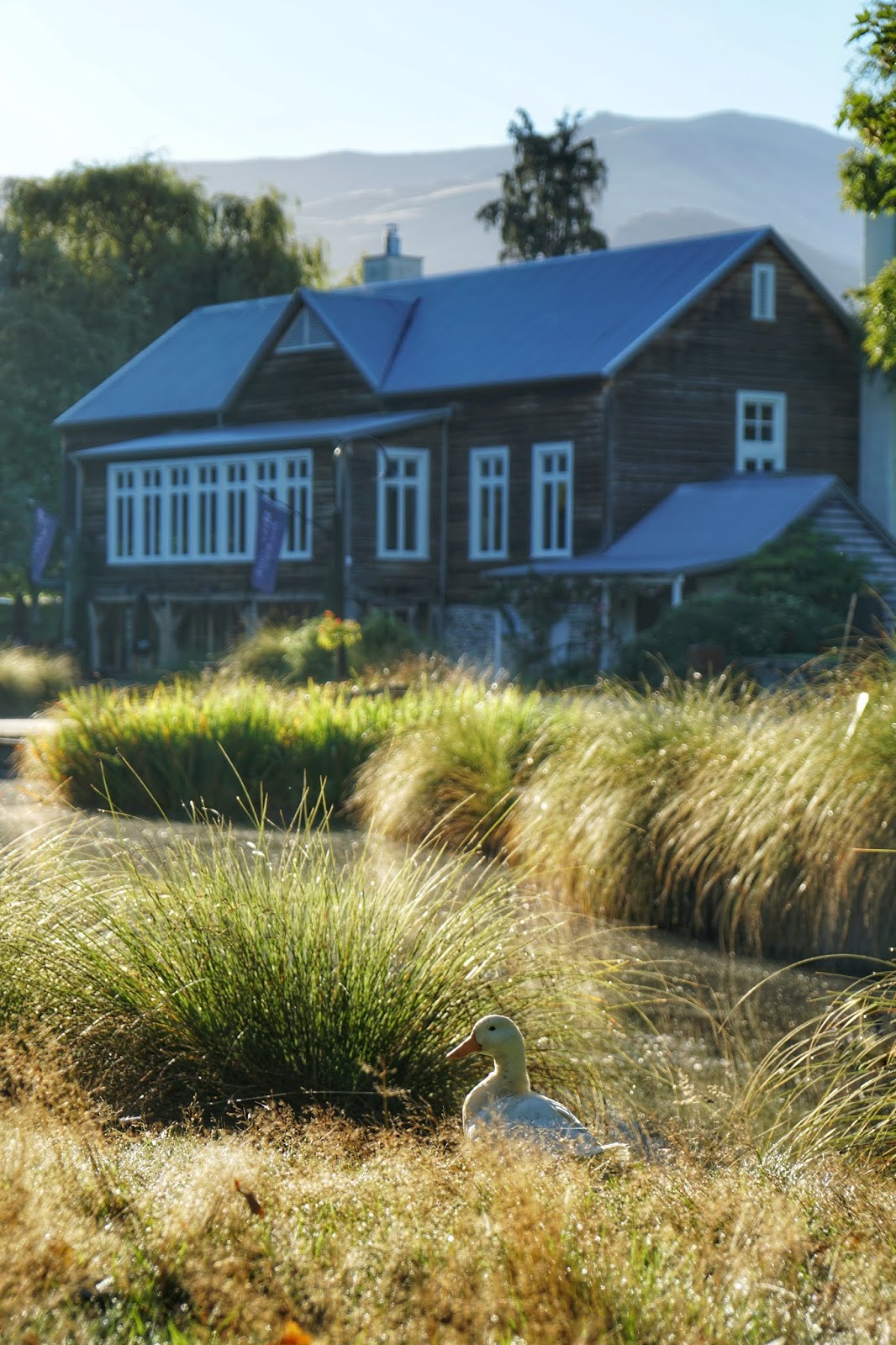 Millbrook Resort, Queenstown, New Zealand | Lou's Travelogue